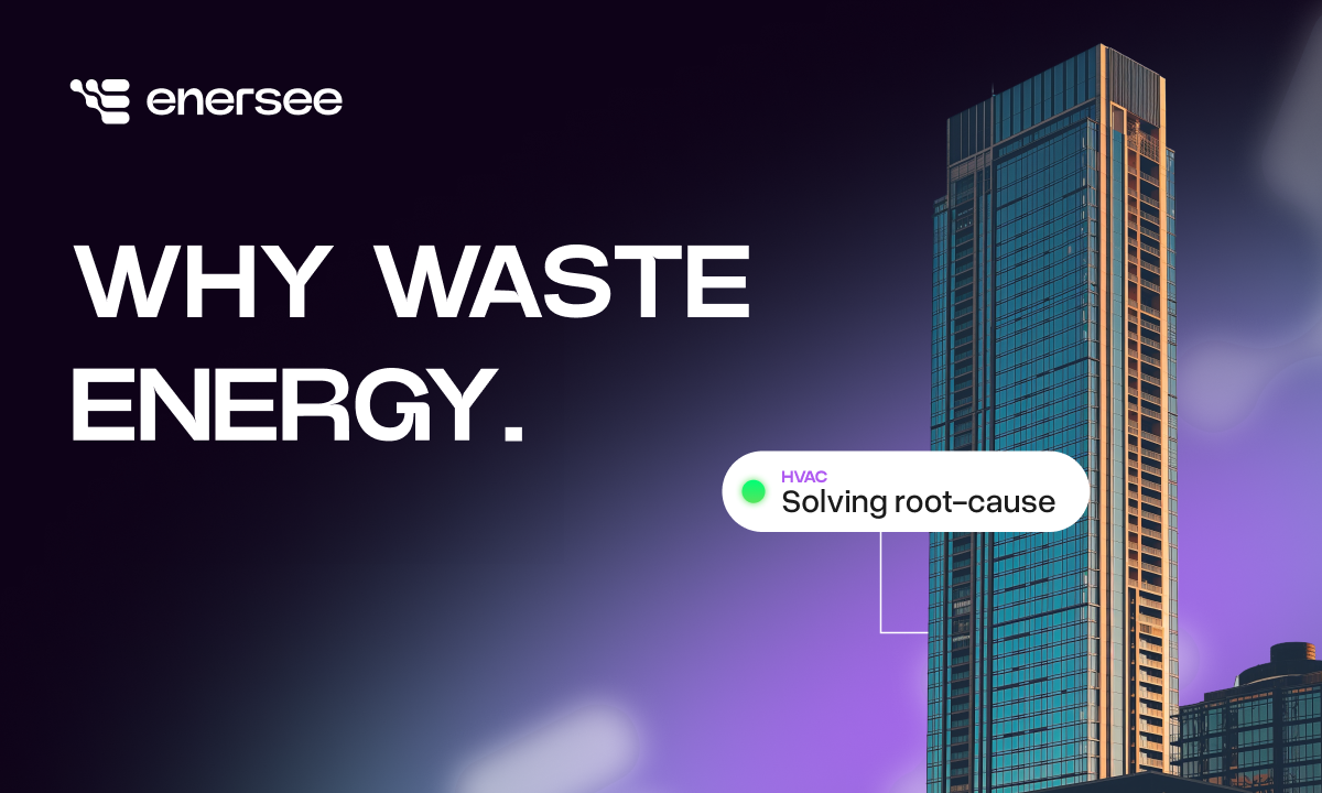 Enersee - The product