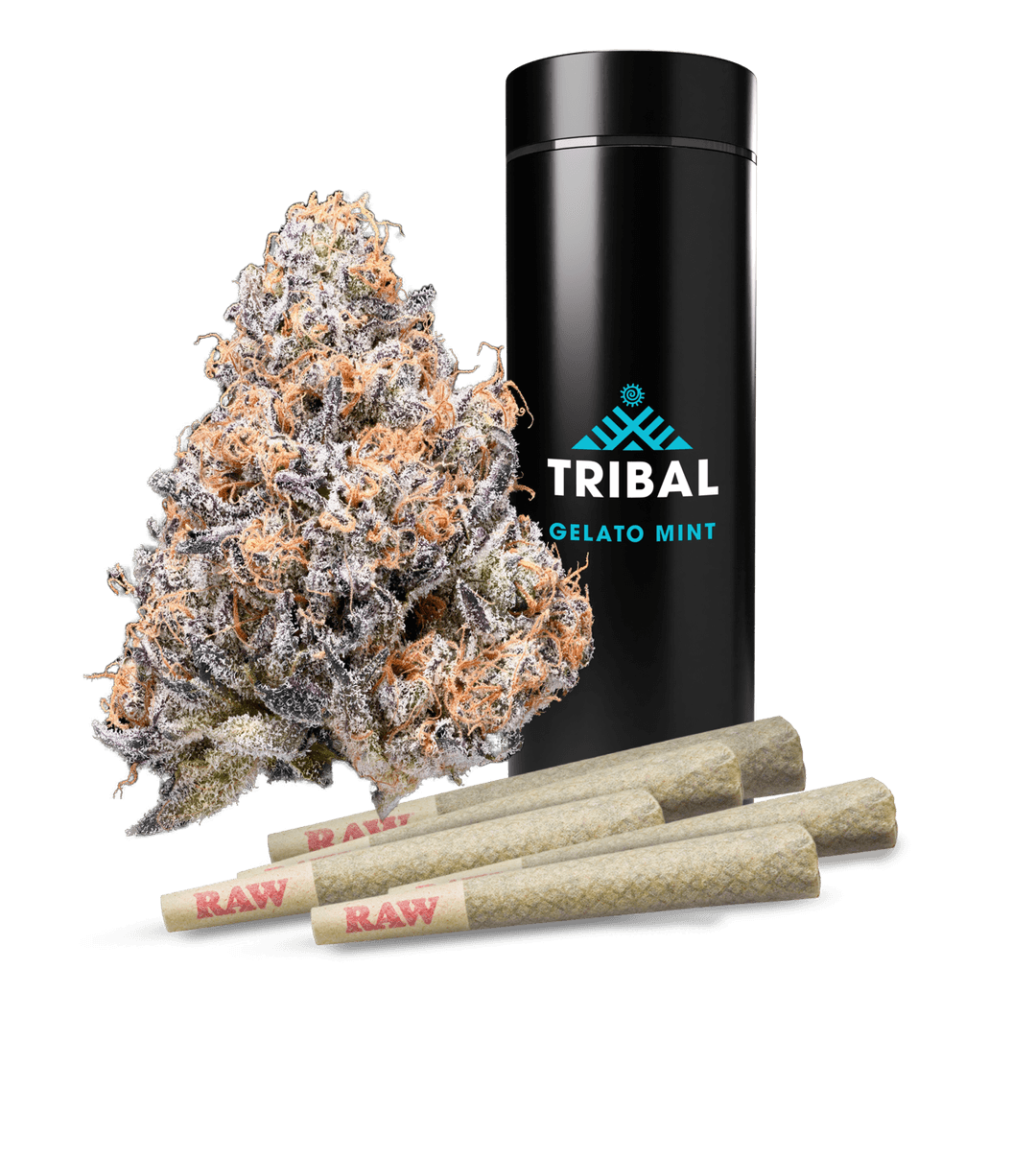 Tribal Cannabis