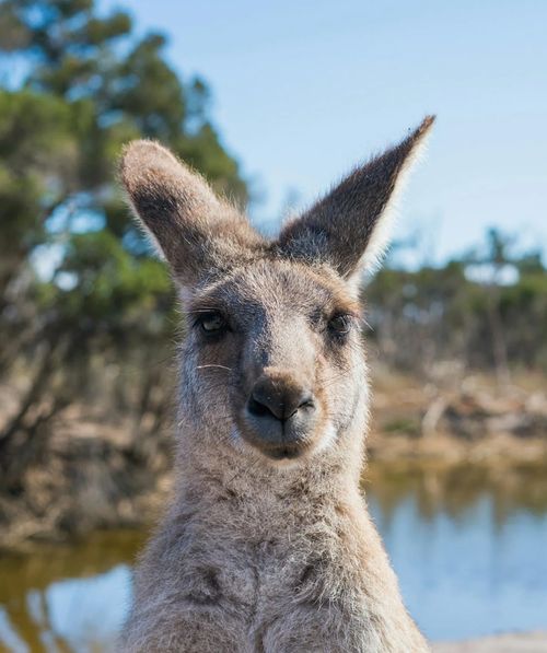 What is BuildPass? | Discover AI-powered construction sofrware