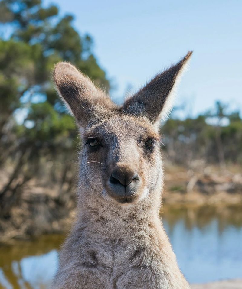 What is BuildPass? | Discover AI-powered construction sofrware