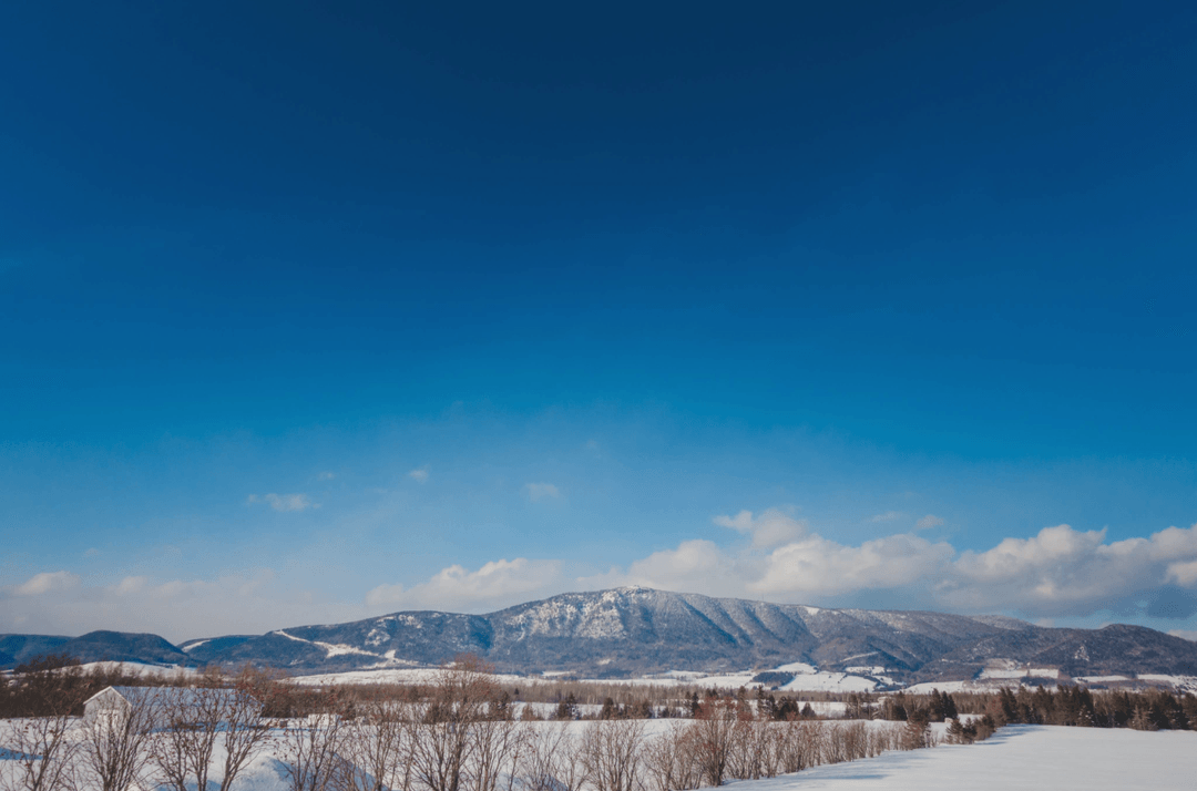 Understanding the Roles of MMRLP and MMBC