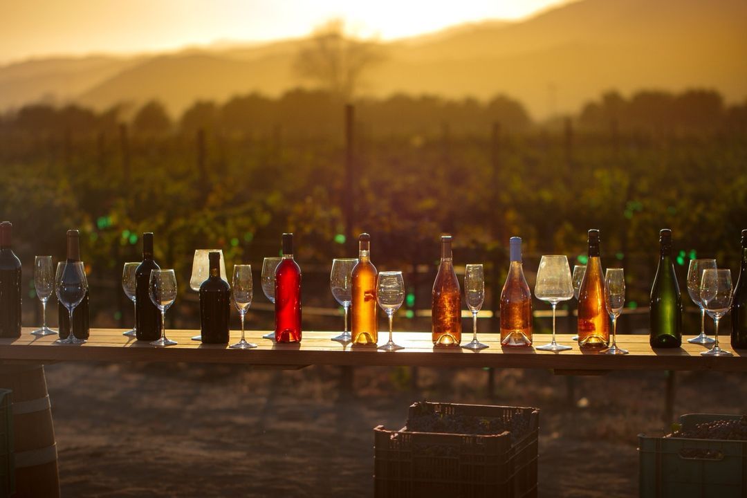 Baja California Travel | Discover the Best Destinations and Experiences ...