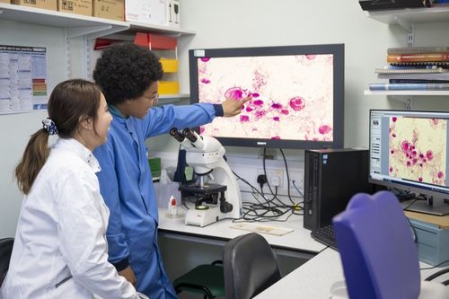 Royal College of Pathologists Annual Report 2024 -2025