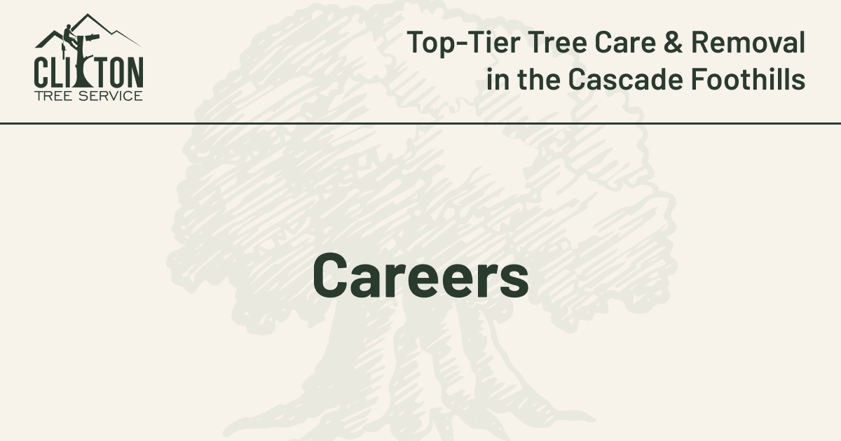 Careers | Clifton Tree Service