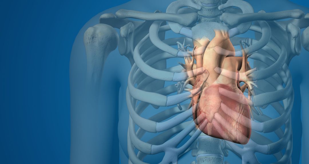 LSI SOLUTIONS® - Leading Surgical Innovation