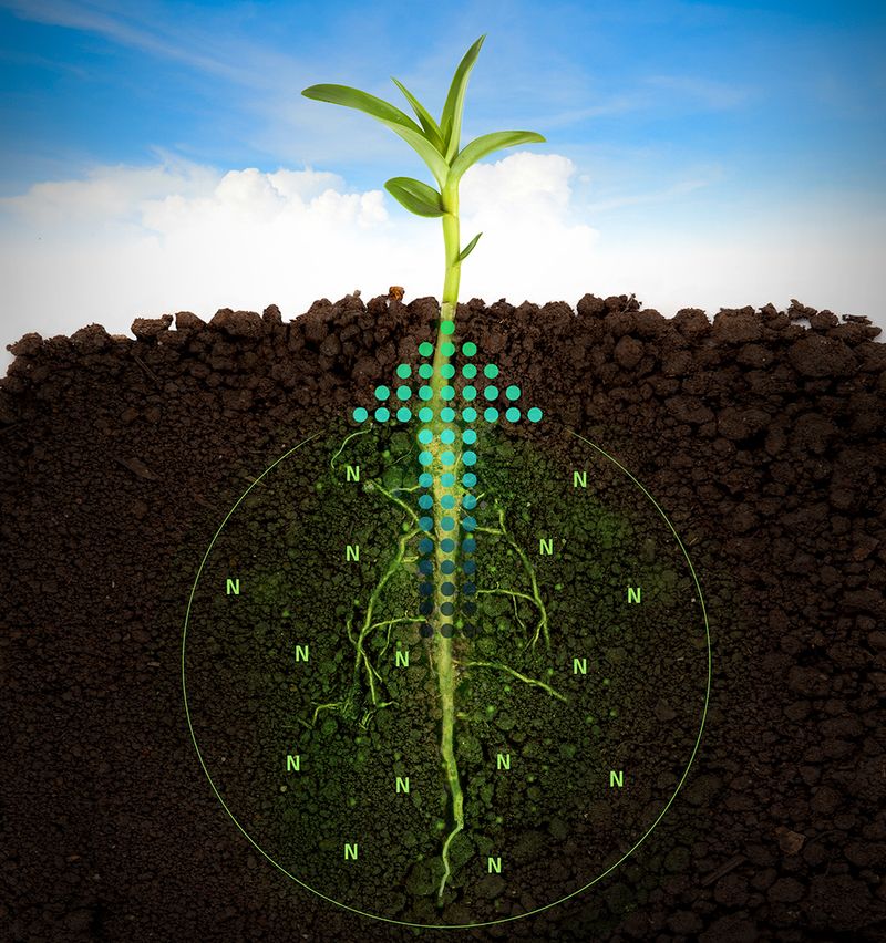 Kula Bio® - Home | Nitrogen Production. Reimagined.