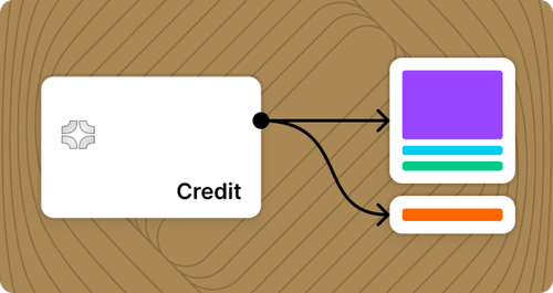 What is Interchange? Fintech Interchange Revenue | Card Programs | Lithic