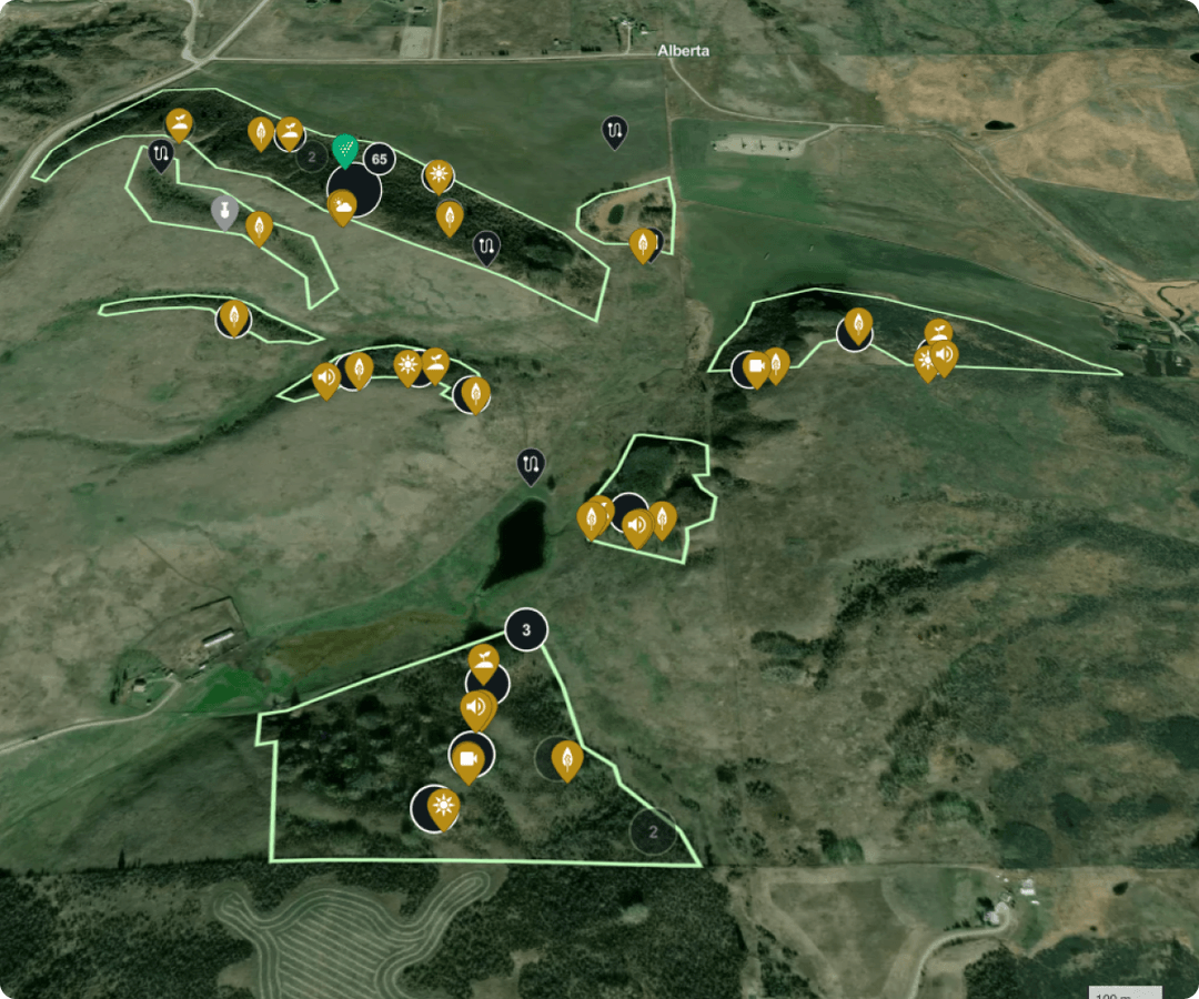 Technology for Verified Impact | veritree