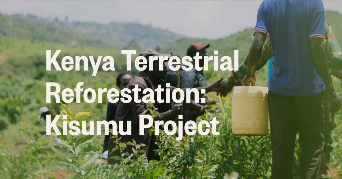 Kisumu, Kenya: Terrestrial Reforestation Project