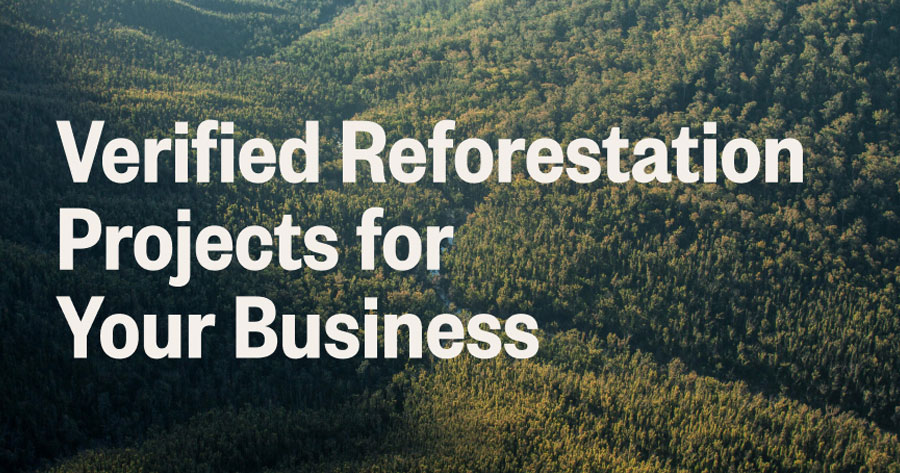 Verified Reforestation Projects for Your Business