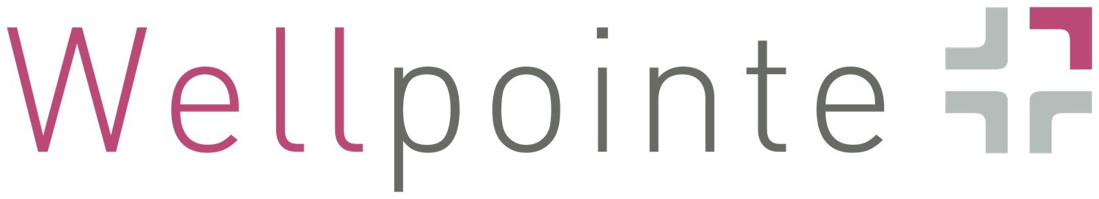 Wellpointe - Careers