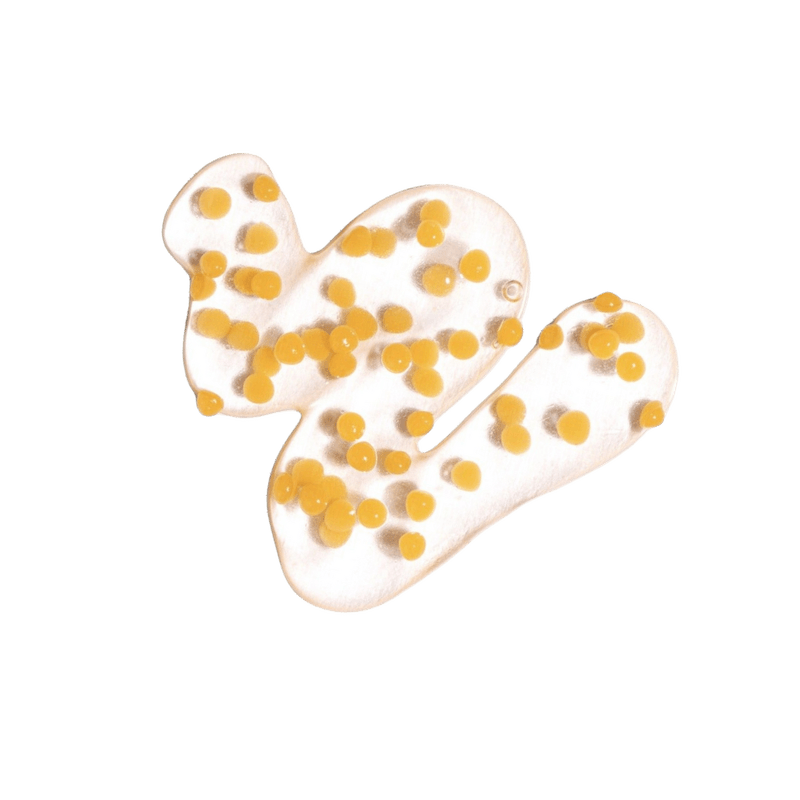 Capsum