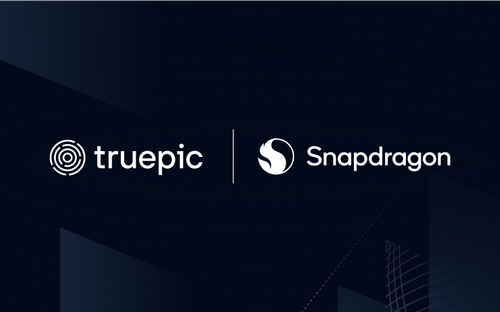 Visual Risk Intelligence | Truepic