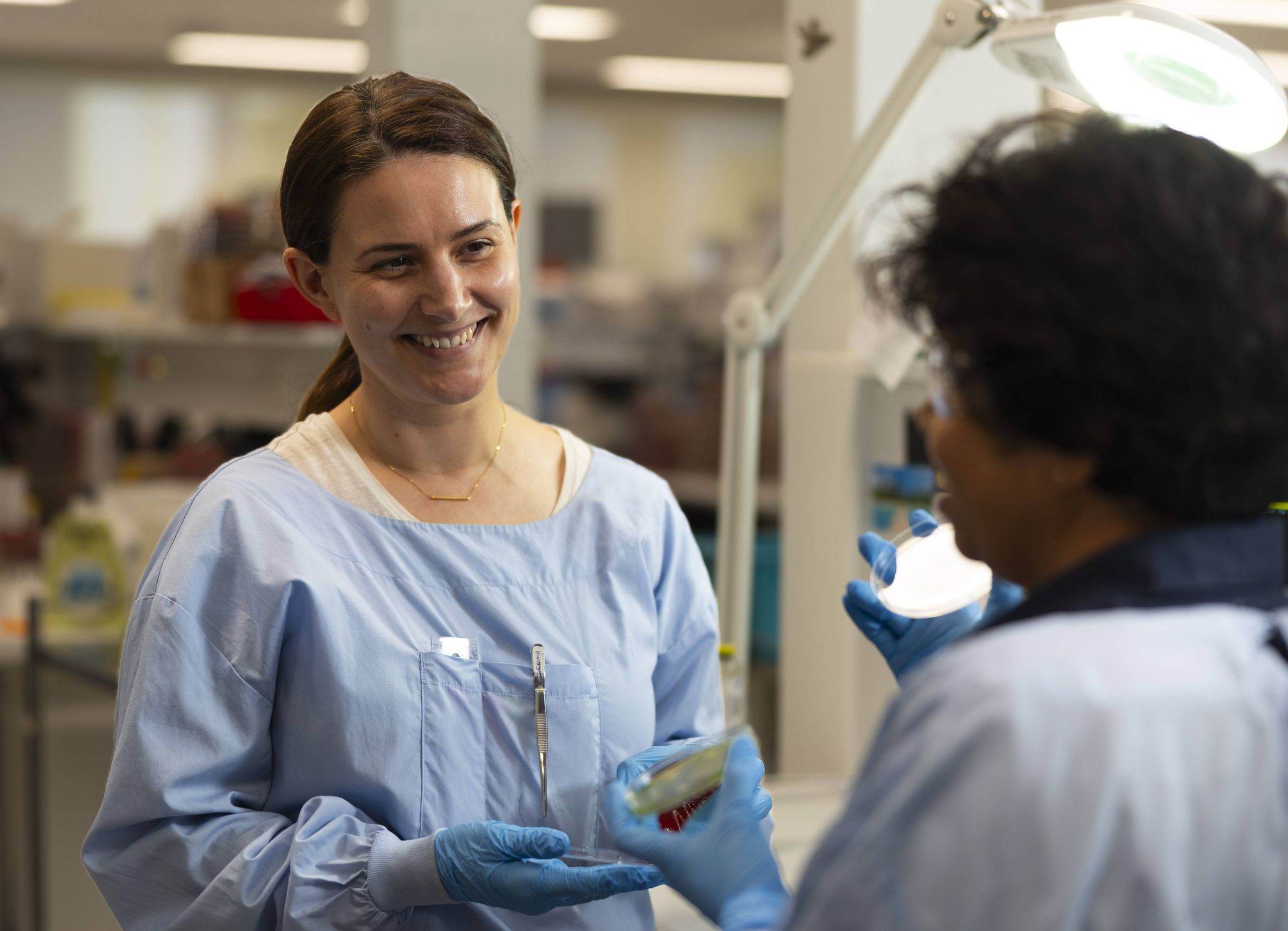 Our pathologists | WDP