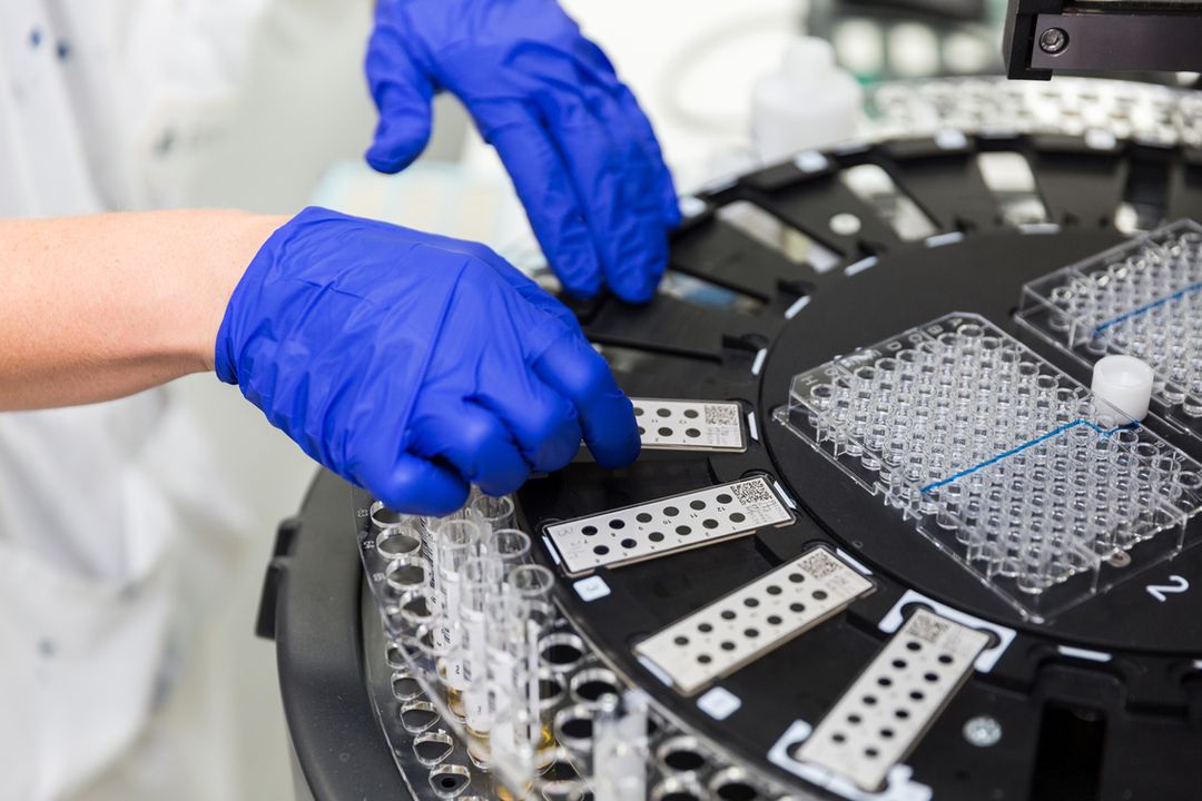 About TML Pathology | TML Pathology