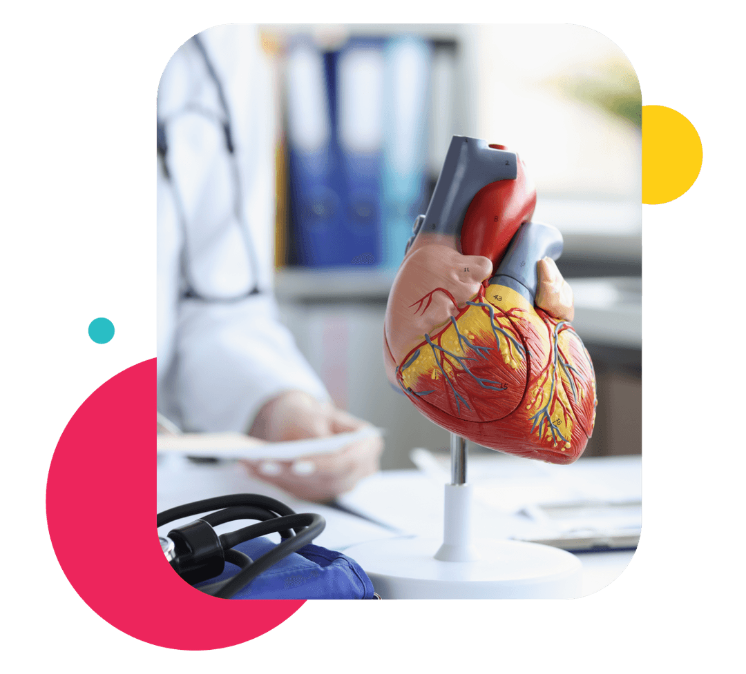 NT-proBNP Testing for Heart Failure Diagnosis | Abbott Pathology