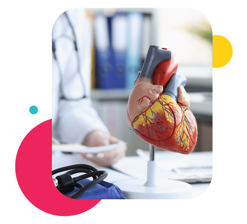 NT-proBNP Testing for Heart Failure Diagnosis | Dorevitch Pathology