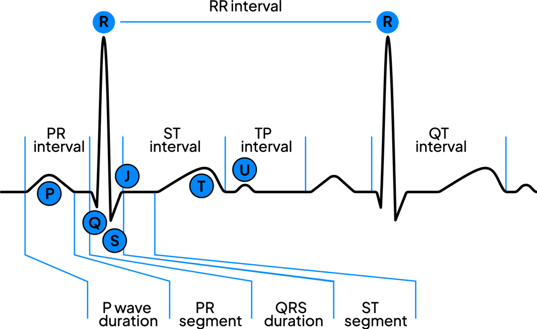 Neural Cloud Solutions