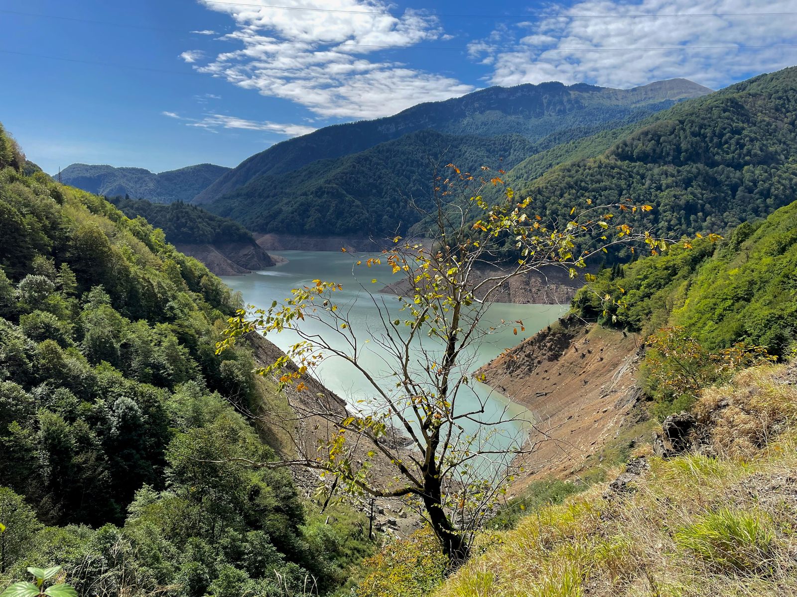 Understanding Your Defined Benefit Pension Scheme