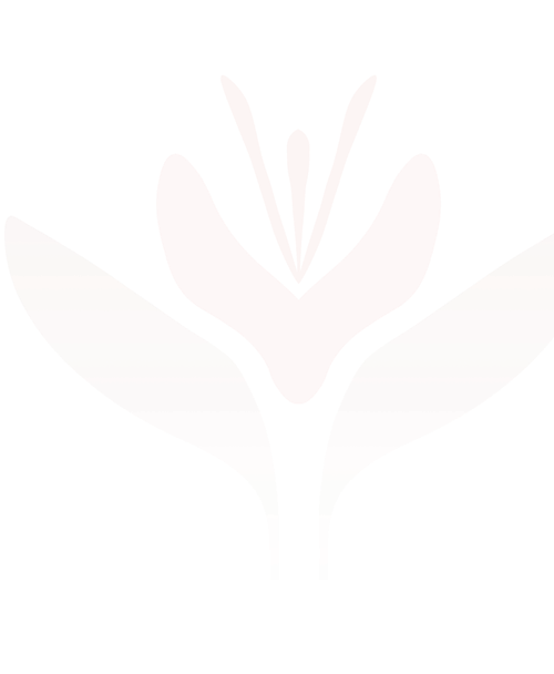 Cancer Care Support List: Resources for Patients and Families