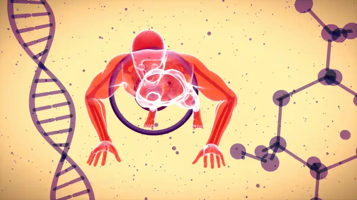 Biological Age Blood Test: The Best At-Home Testing Kits