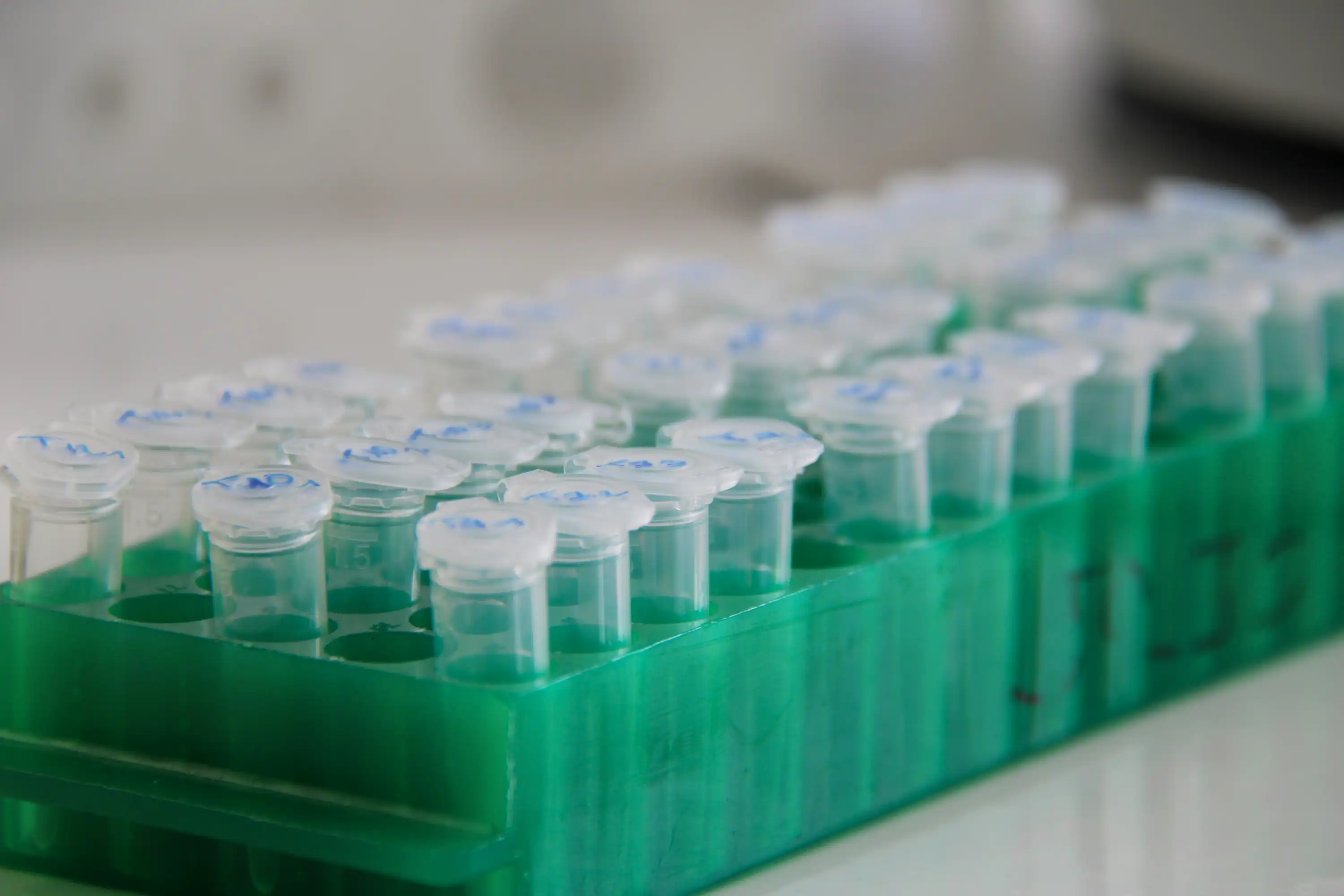 Biological Age Test: Top 5 Kits for Measuring Age