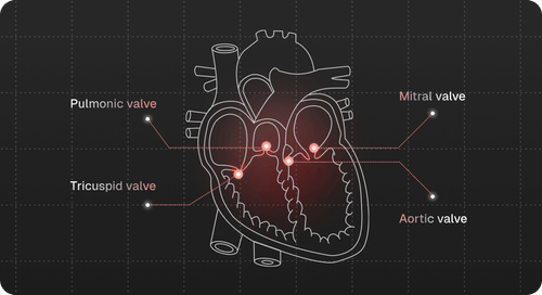 Valvular Heart Disease in the Elderly: AI-Powered POCUS | AISAP