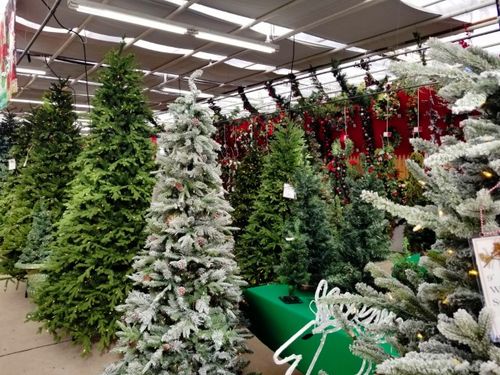 Christmas: A Family Tradition