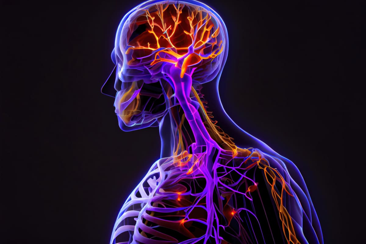 How Your Nervous System Impacts Your Everyday Life