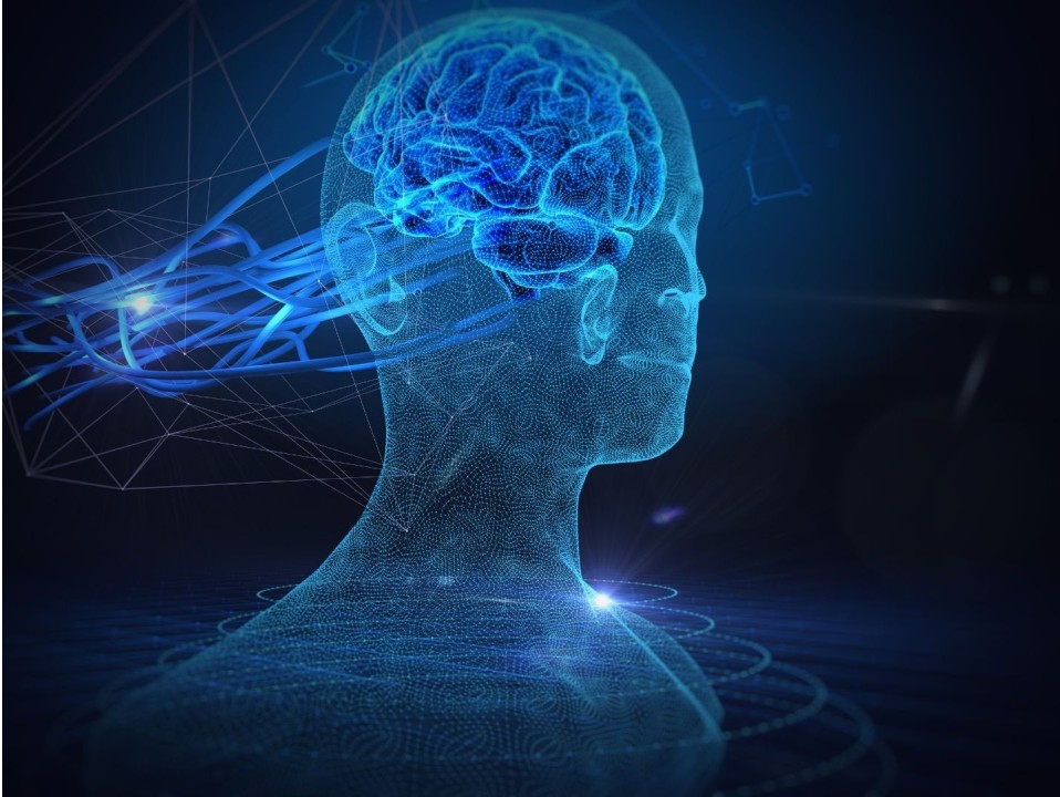 What is Neroception and How Does it Relate to Perception