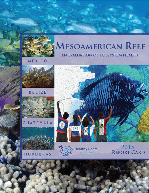 Report cards | Healthy Reefs for Healthy People