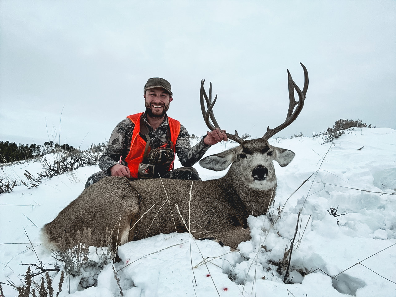 Why Hunting Matters: How Hunters Keep Economies Thriving and Prevent ...