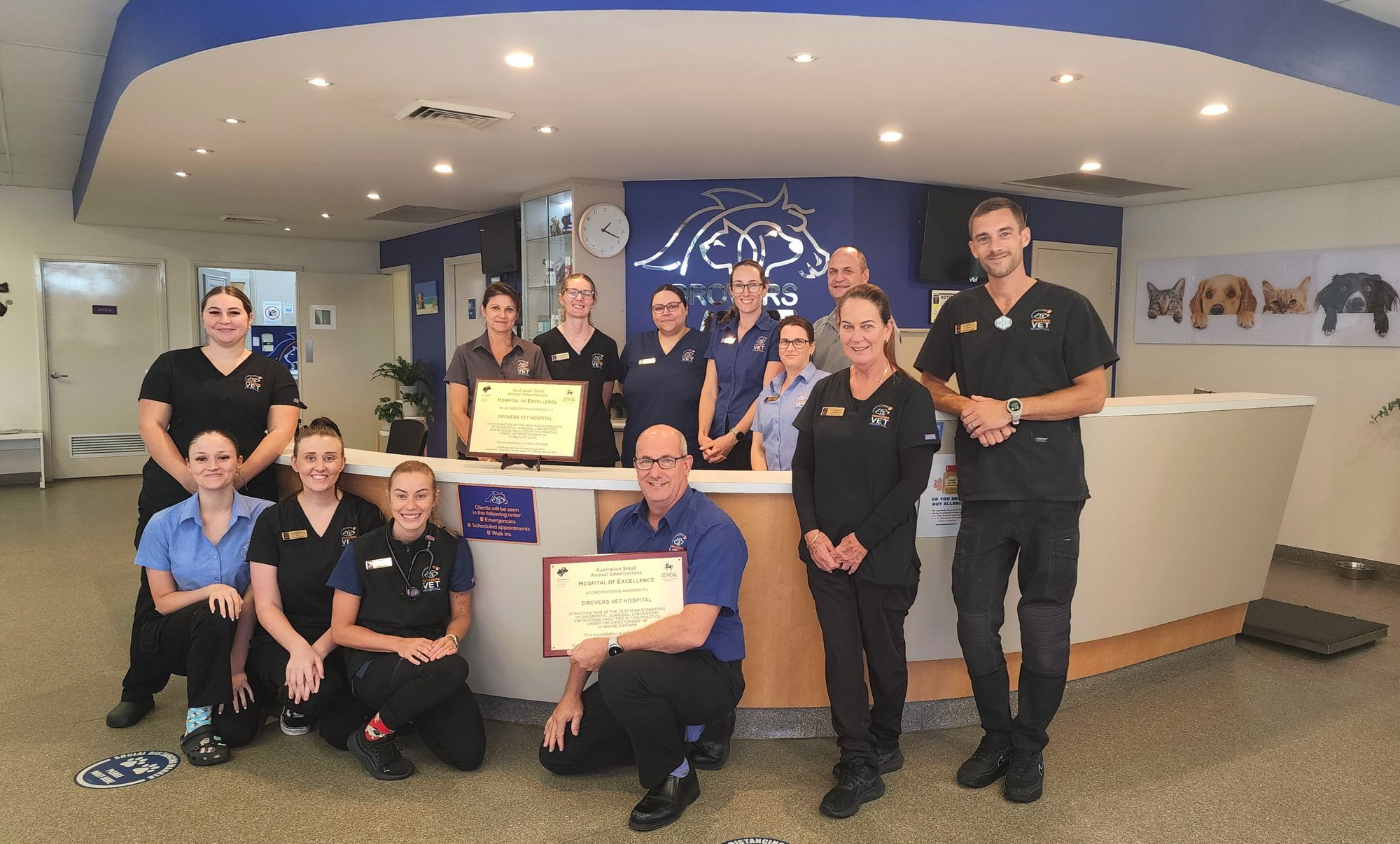 Drovers Vets Hospital: Where every pet is family.