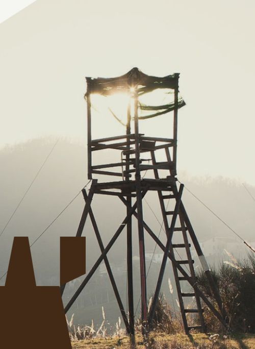 Watchtowers Networks