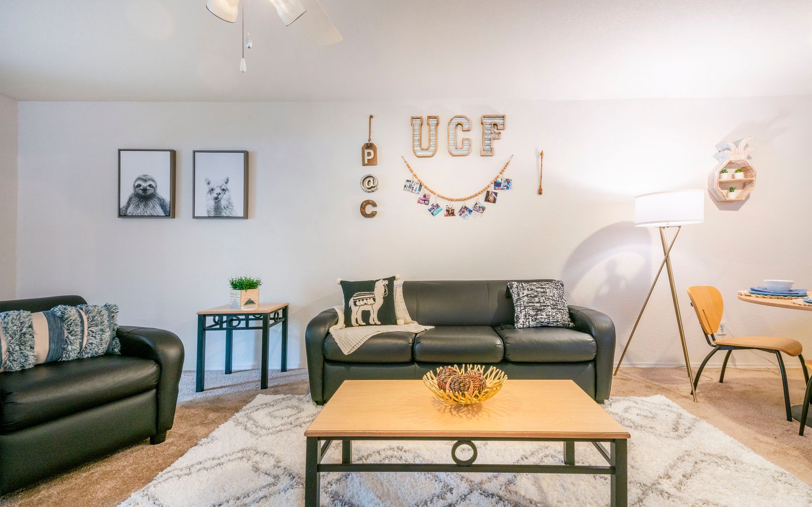Premier Apartment Orlando - Orlando Apartment for Rent | The Pointe at ...