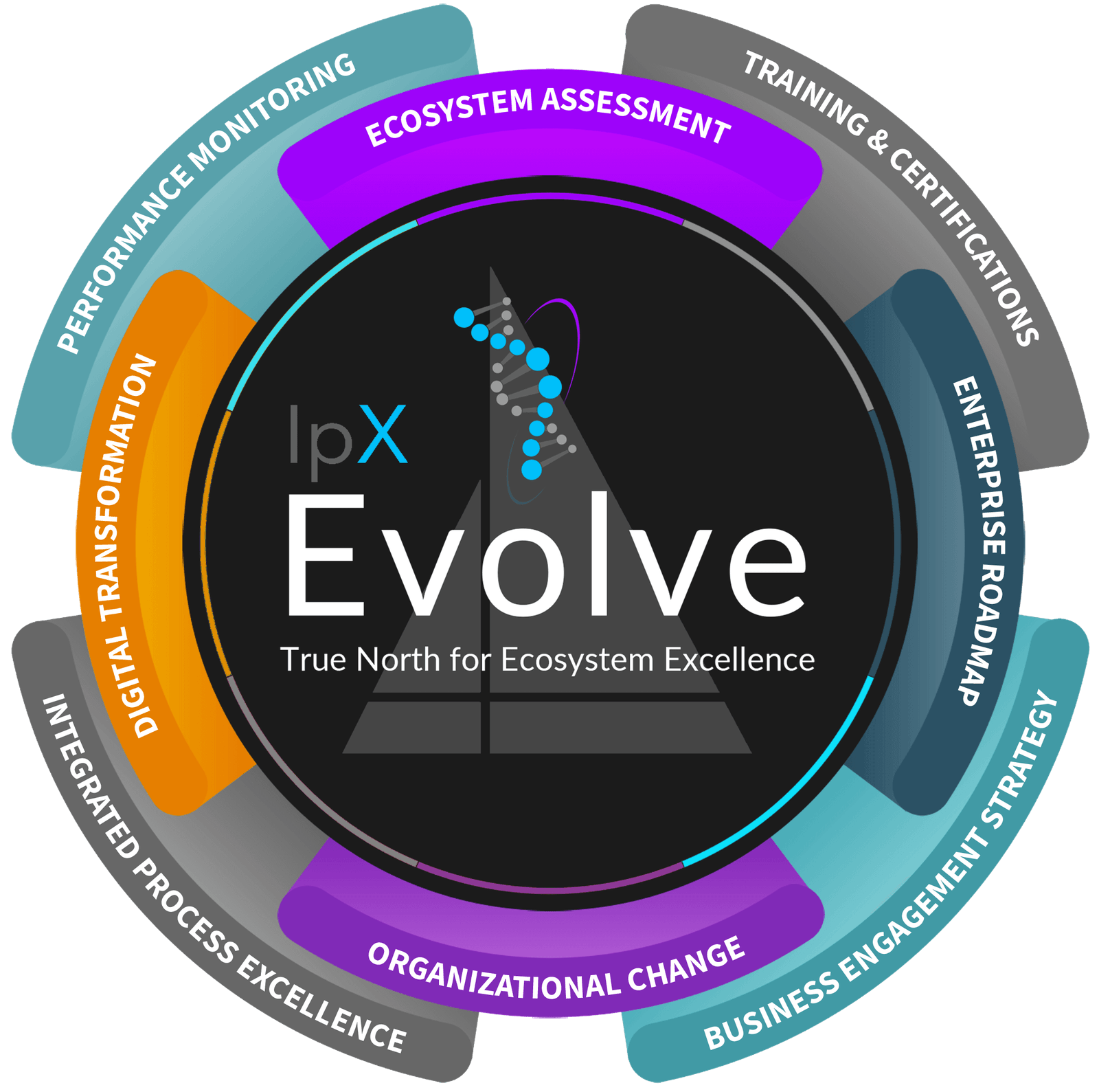 IpX (Institute for Process Excellence)