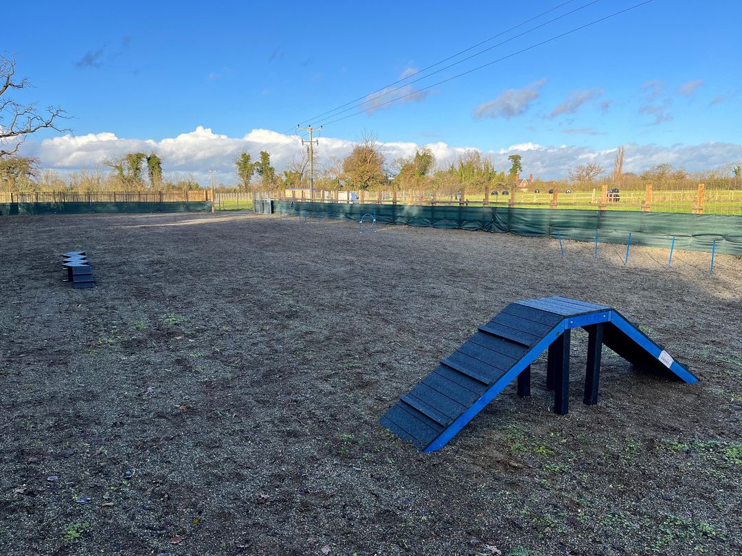Secure Dog Exercise Area in Nantwich - The Dogs Paddocks - Secure Dog ...
