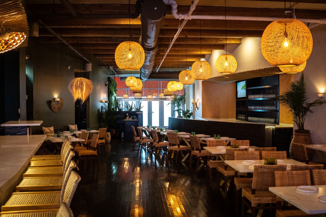 Casa Tulum | Mexican Seafood Restaurant in the South Loop, Chicago