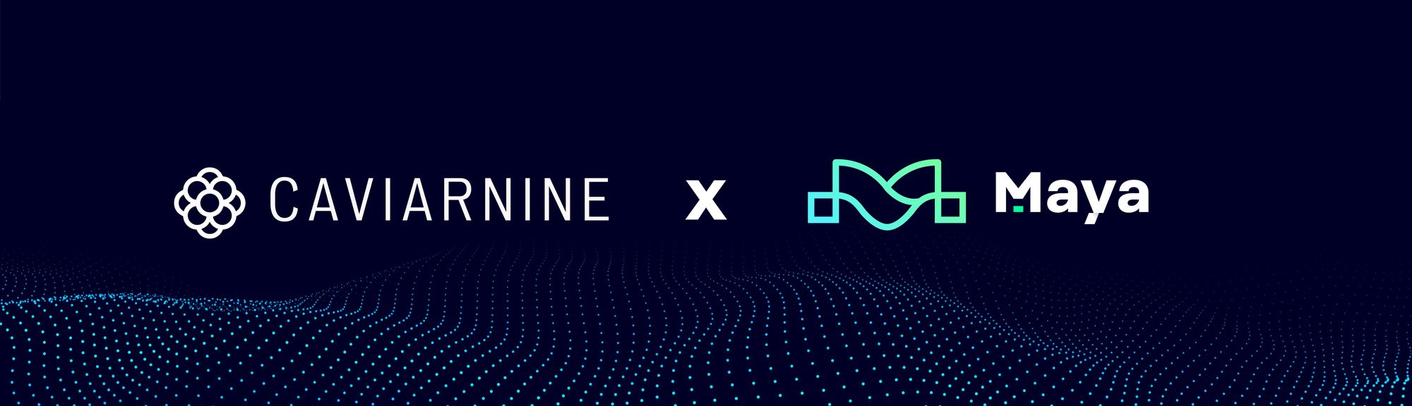 Maya Protocol FAQs: An overview of questions and resources regarding the protocol