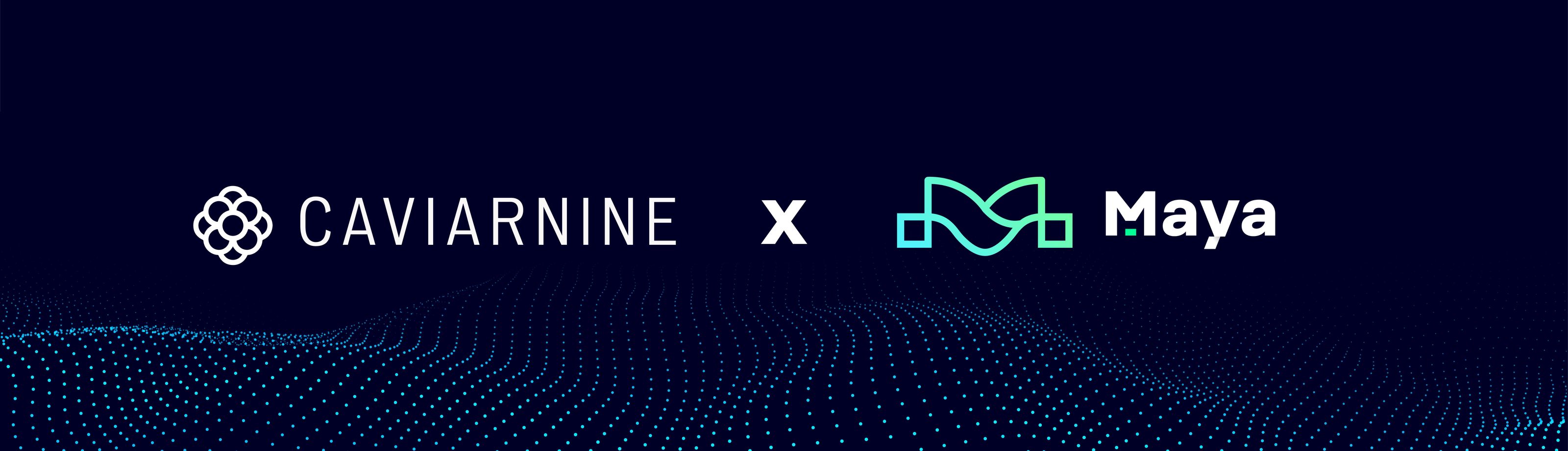 What is Maya Protocol?