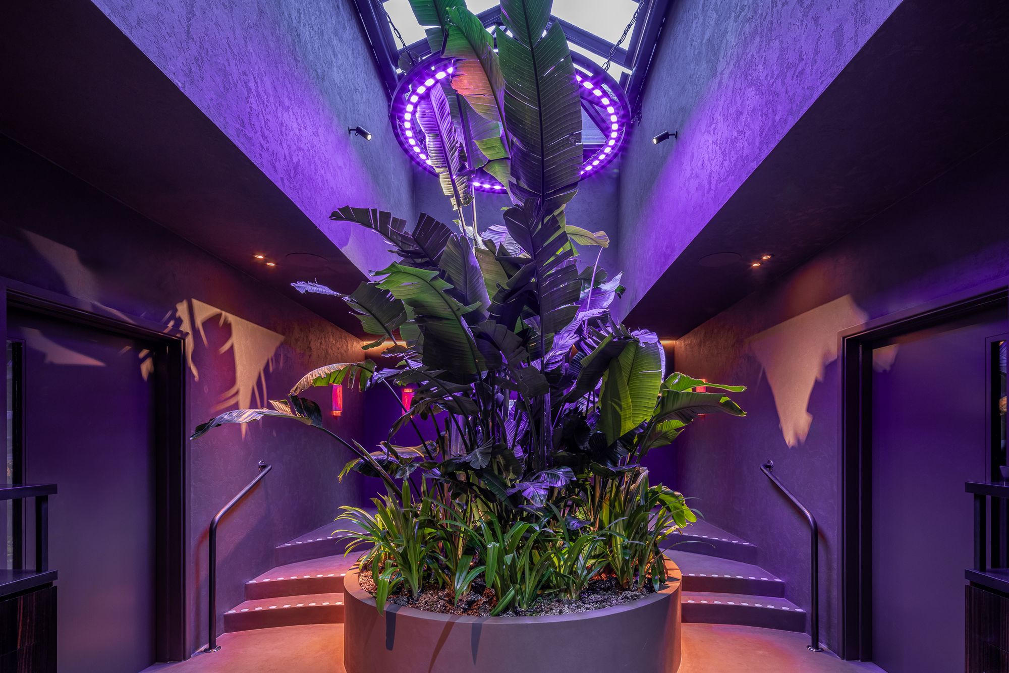 DAMU Spa London | A Boutique Spa Retreat in Central London