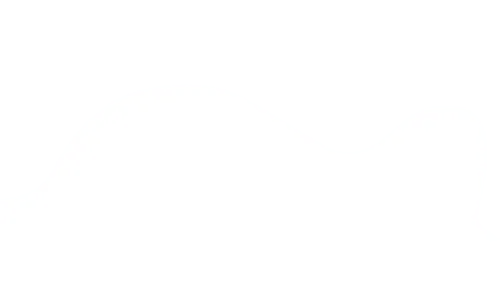 iManage Solutions | RBRO Solutions – Transform Your Document Management