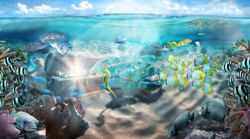 Discover the Caribbean Guilder