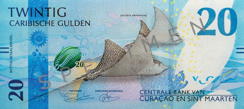 Discover the Caribbean Guilder