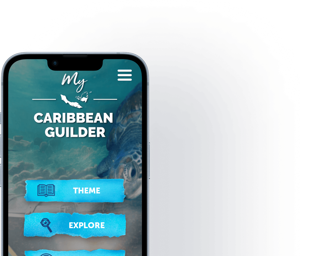 Banknotes of the Caribbean Guilder