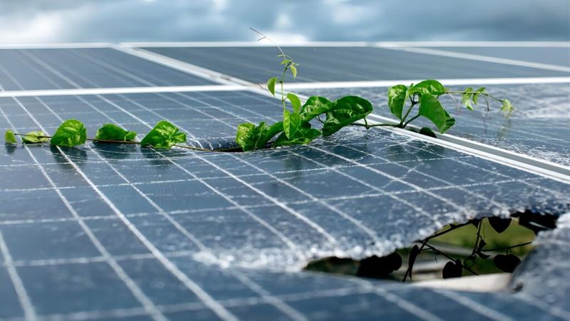 Solar Panel Disposal Near Me: How to Get Rid of Old Panels