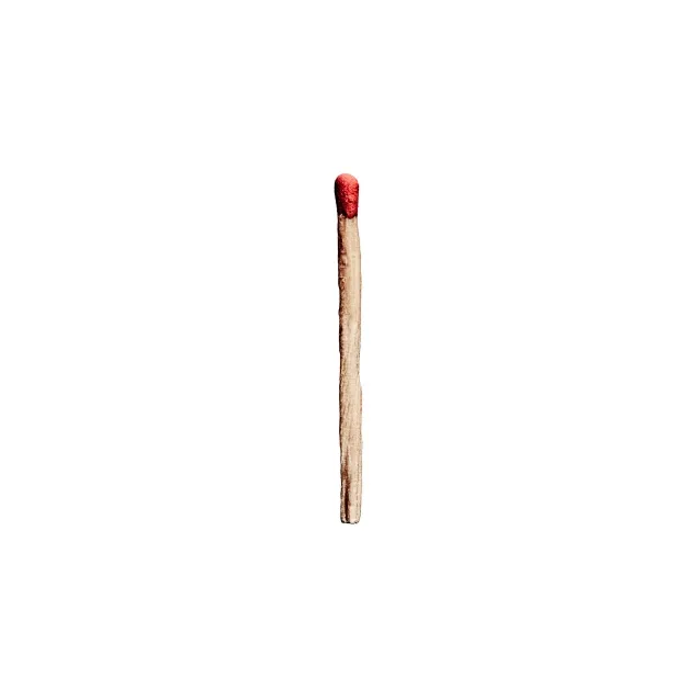 Rammstein - Rammstein (Album Review) - Wall Of Sound