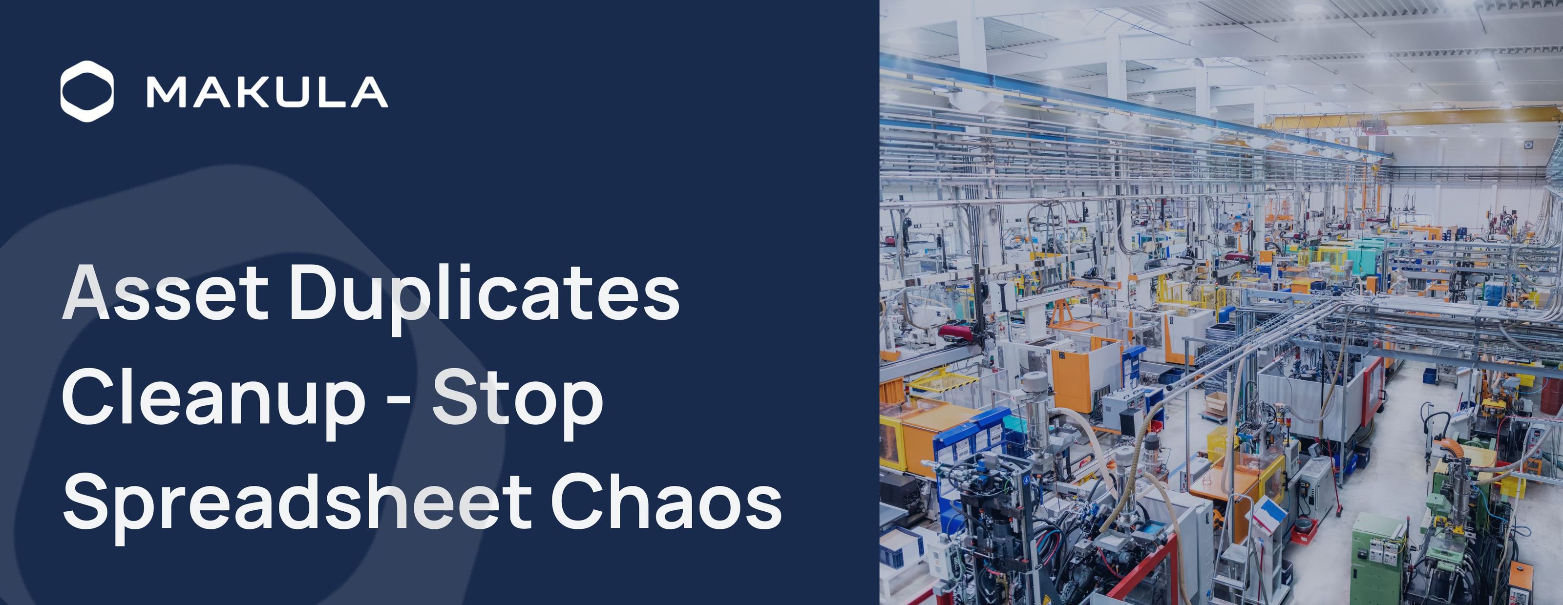 Asset Duplicates Cleanup: Stop Spreadsheet Chaos - Makula
