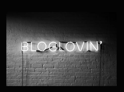 Explore Top Startups in Lerer Hippeau's Portfolio