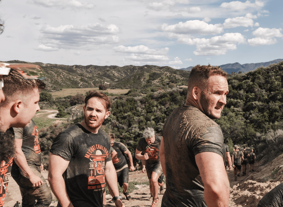 Jimmy Rex | We Are The They